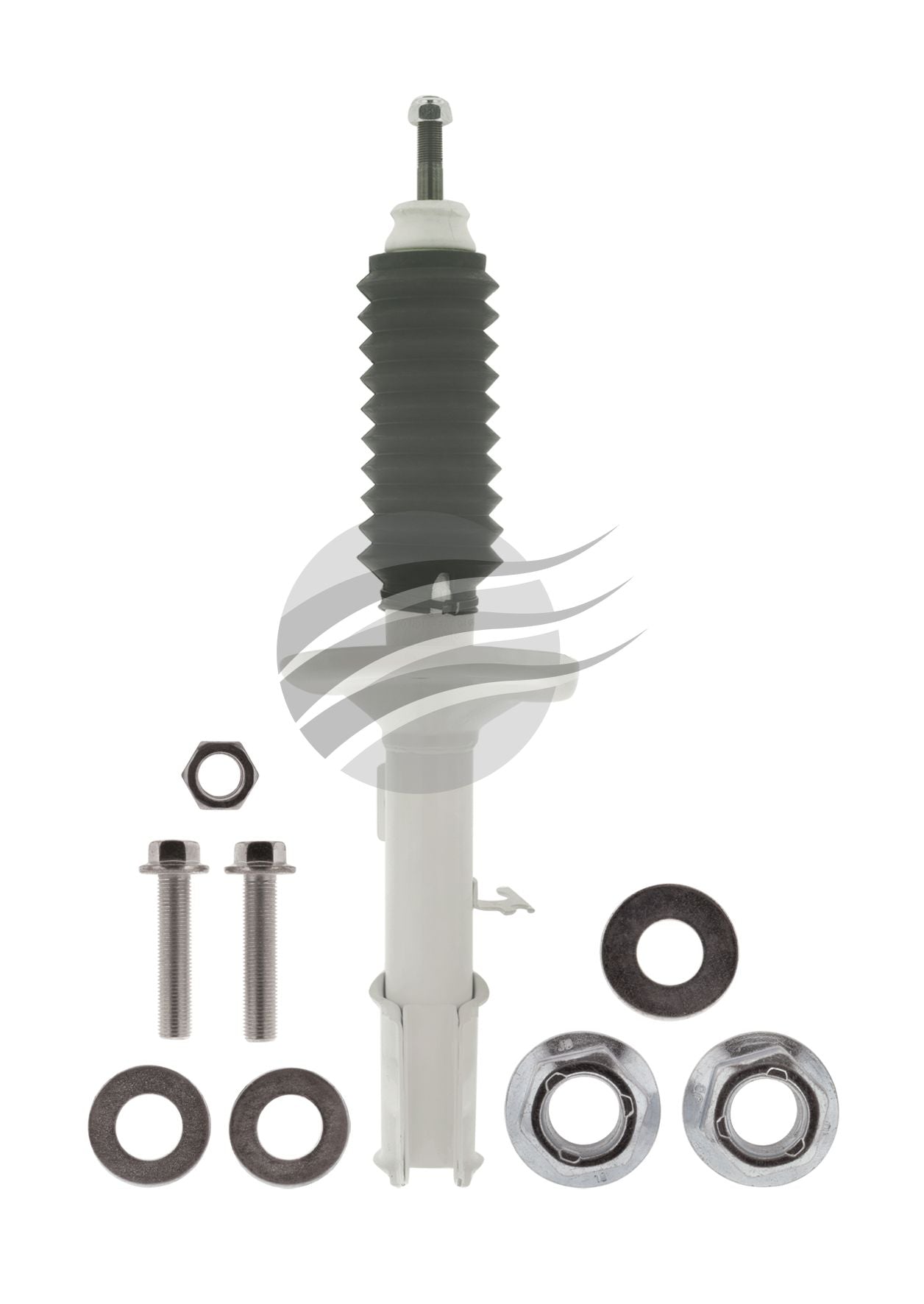 Right Front Strut for Holden Commodore VZ (2004-2006) – Exclusive Motors
